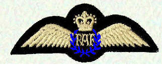 RAF Flying Badges_U
